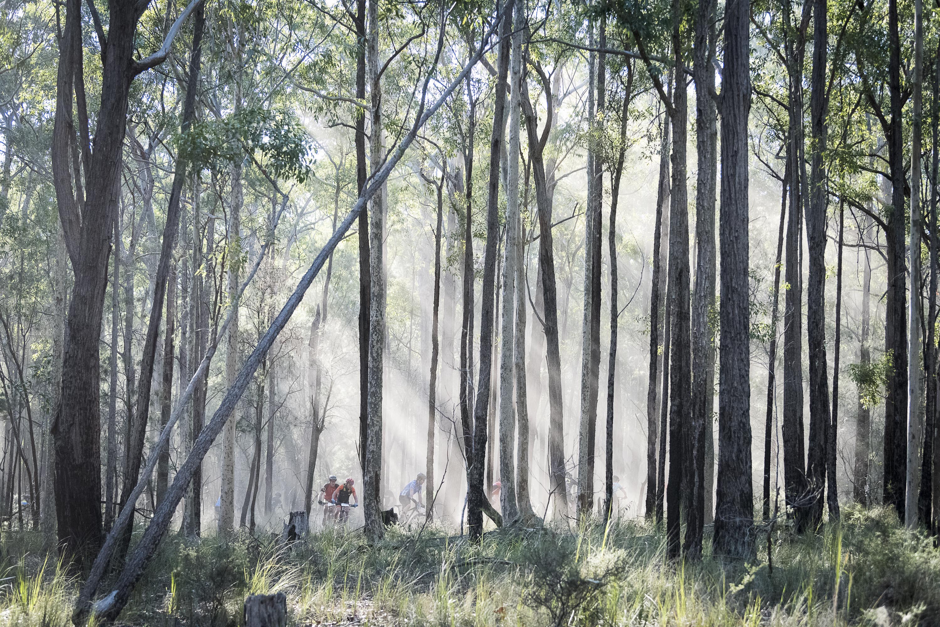 Understanding nature based tourism - Rocky Trail Destination